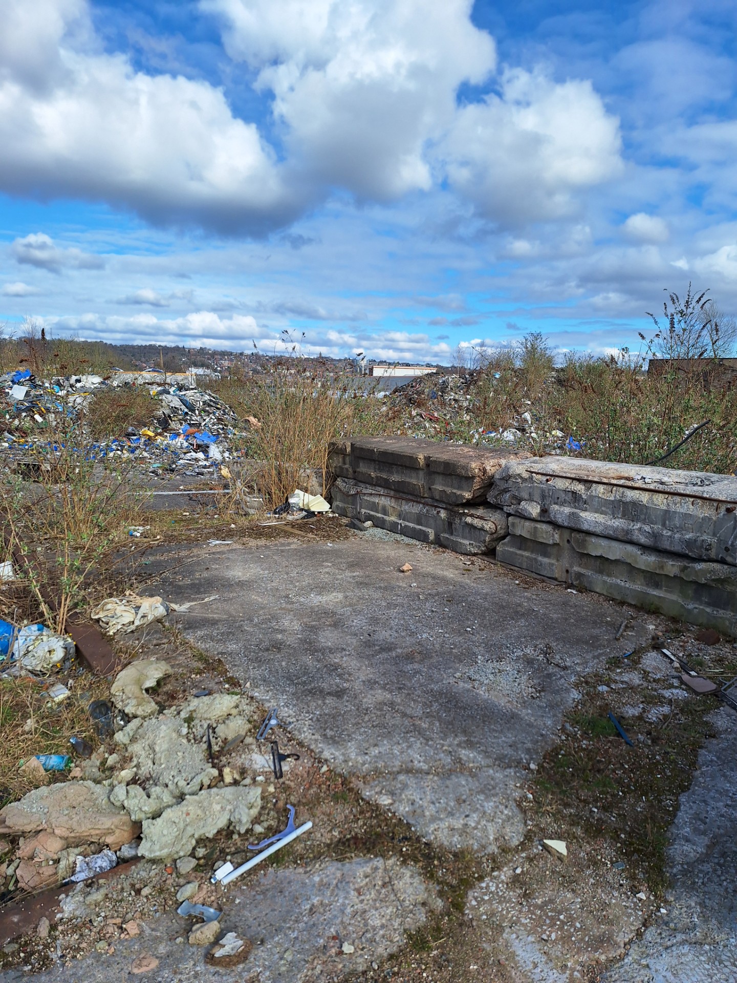TOTAL Remediation & Land Clearance Company Norfolk