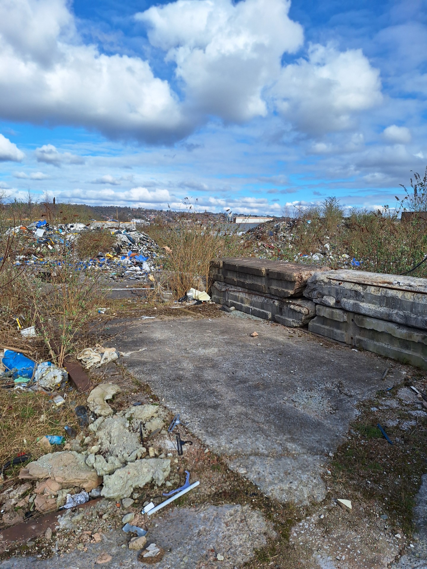 TOTAL Site Remediation & Land Clearance Company Surrey